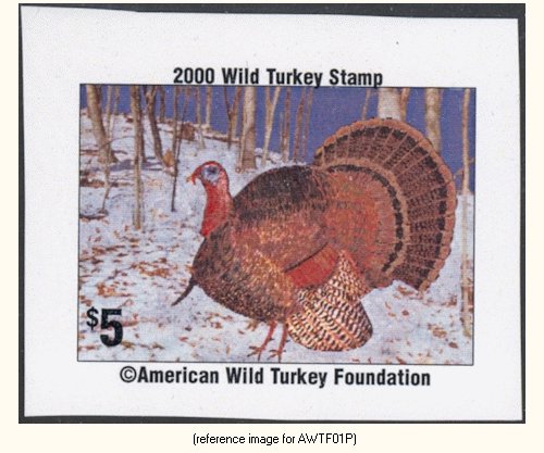 American Wild Turkey Foundation (2000-Present) - Detail